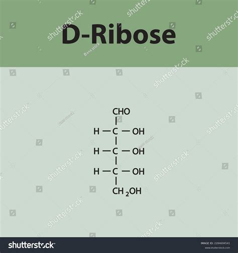 D Ribose Structure