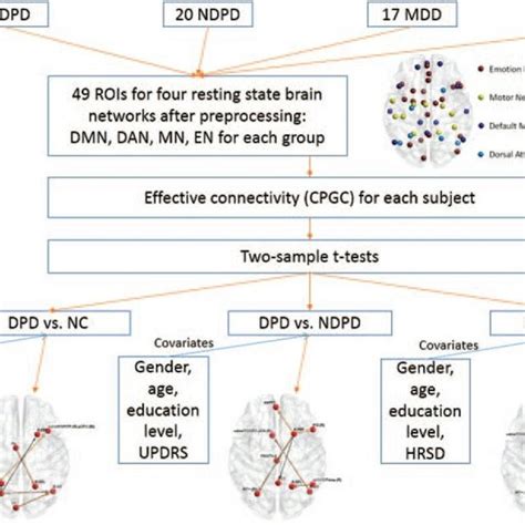 The Flow Chart Illustrating The Connectivity Analysis Pipeline Download Scientific Diagram