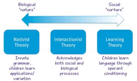 Language Acquisition Approach Practice Flashcards Quizlet