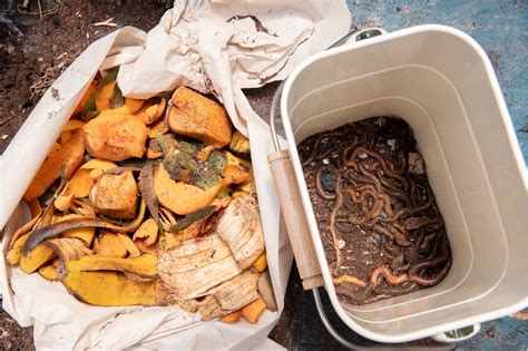 The Ultimate Guide To Indoor Composting With Worms Uncle Jims Worm Farm