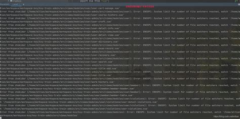 vue启动后控制台输出日志信息 npm run serve 输出日志 csdn博客