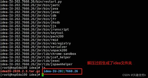 Linux 之 Javaee 定制篇（linux搭建javaee环境 超详细安装教程： Jdk的安装、tomcat 的安装、 Idea2020