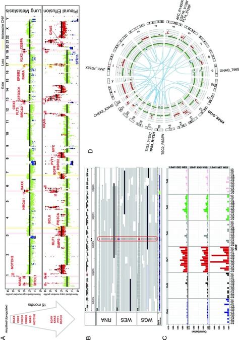Minimally Invasive Genomic And Transcriptomic Profiling Of Visceral