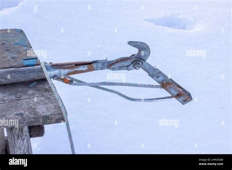 Old Tool For Pruning Trees Stock Photo Alamy