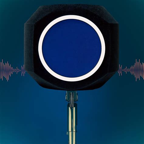 Trademark Innovations Microphone Shield Microphone Filter Isolation Shield For Recording Music