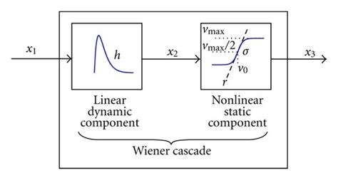 Neural Mass Models A A Diagram Of The Model Of A Cortical Unit Download Scientific Diagram