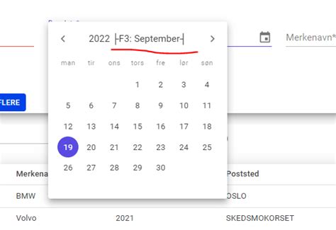 Mudblazor Date Picker Wrong Encoding MudBlazor MudBlazor