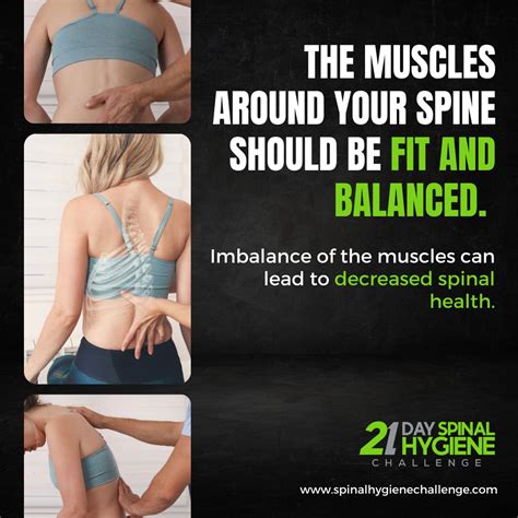 Tabor Smith On Linkedin What Are You Doing To Keep The Muscles Around Your Spine Healthy And Fit…