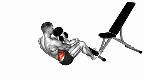 Dumbbell Russian Twist Exercise Guide How To Muscles Worked And Variations