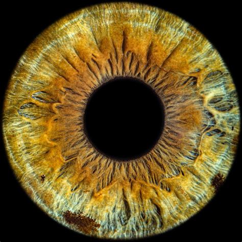 Julien Weimer Youtube