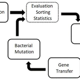 Bacterial Memetic Algorithm Download Scientific Diagram