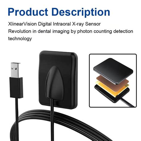Supply X Ray Portable Dental Xray Digital Rvg Sensor Wholesale Factory