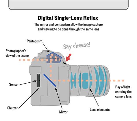 DSLR Cameras Animated Schematic Techsight