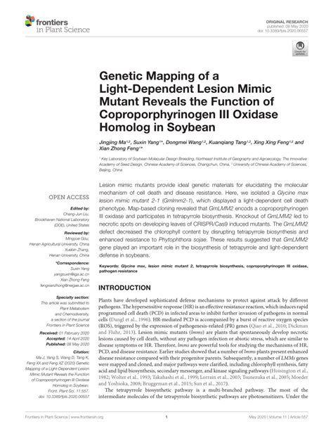 Pdf Genetic Mapping Of A Light Dependent Lesion Mimic Mutant Reveals