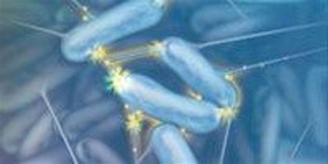 Live Wires The Scientist