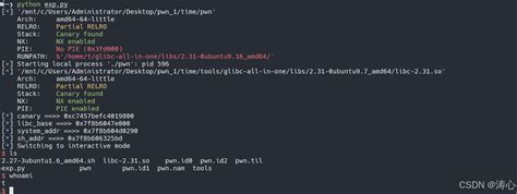 pwn scanf函数的格式化字符串漏洞利用 pwn scanf csdn博客