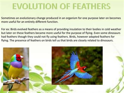 Heridity And Evolution Biology Class 10 Cbse Ppsx Reproductive