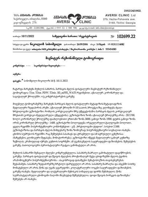 სიბოშვილი ნიკოლოზ Pdf