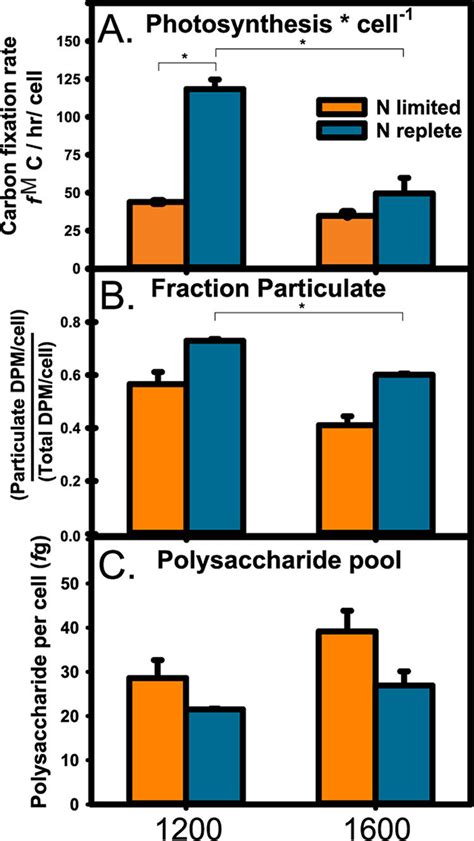 Photosynthesis And Cellular Carbon And Energy Stores In Prochlorococcus Download Scientific