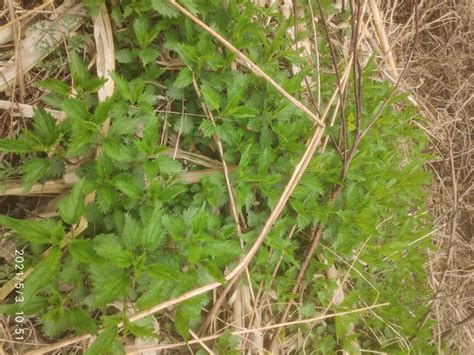 从头开始一个vue3的项目 知乎