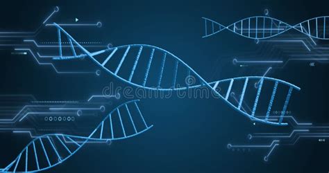 Animation Of Spinning Dna Structures And Microprocesor Connections Against Blue Background Stock