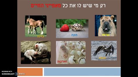 מאפייני חיים מדעזכיף עם לימור בן ארי Youtube