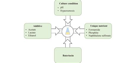 Approaches To Avoid Microbial Contamination Download Scientific Diagram