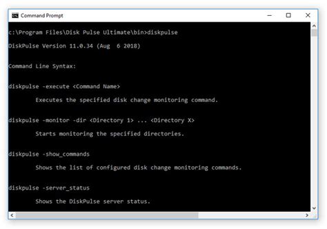 DiskPulse Disk Change Monitor Product Overview