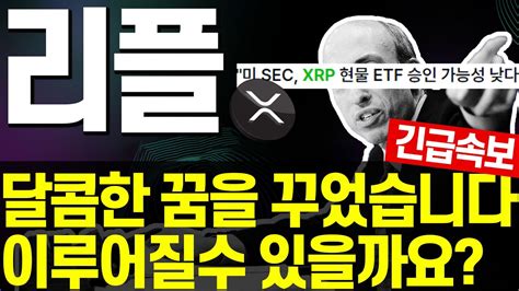 리플 반등 시점은 과연 언제 Youtube