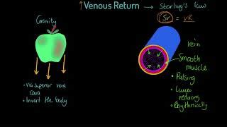 OCR A Level PE Venous Return Doovi