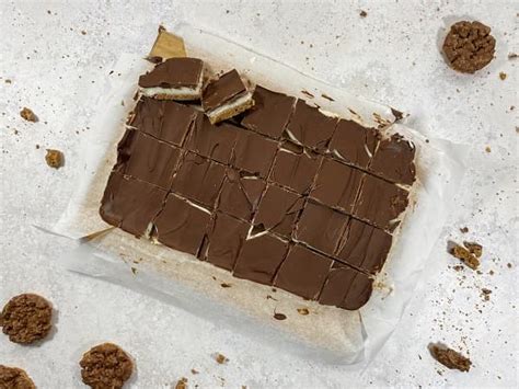 Chocolate Mint Slice