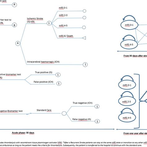 Model Structure A Short Term Decision Analytic Tree Structure Of Download Scientific Diagram