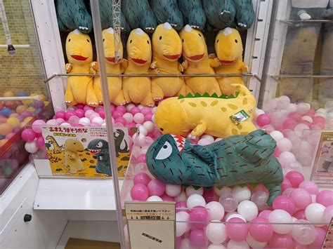 【四日市日永店】12 14 [アミューズ]入荷情報です！ おまえうまそうだな Bigぬいぐるみ 等々 万代書店三重andアソベース愛知総合