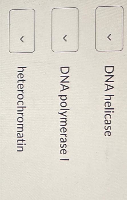 Solved Match The Term With What Type Of Cell It Applies To Chegg Com