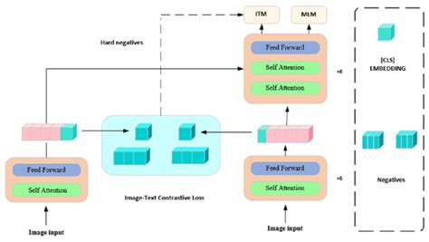 Illustration Of Albef It Consists Of An Image Encoder A Text Encoder Download Scientific