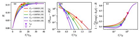 A The Binding Ratio R Solved Via Equation 16 Versus The Download Scientific Diagram