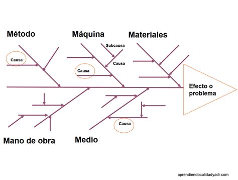 El Diagrama Causa Efecto Calidad Y Adr