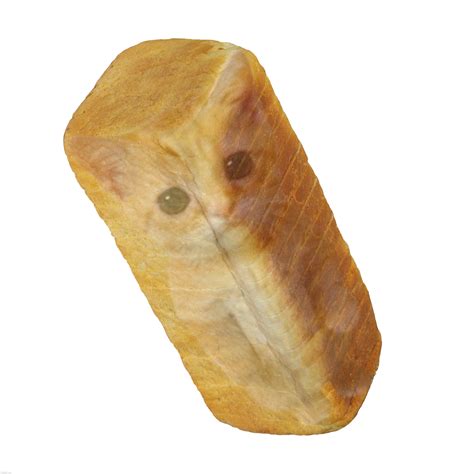 Image Tagged In Cat Loaf Bread Loaf Cat Bread Cat Bread Imgflip