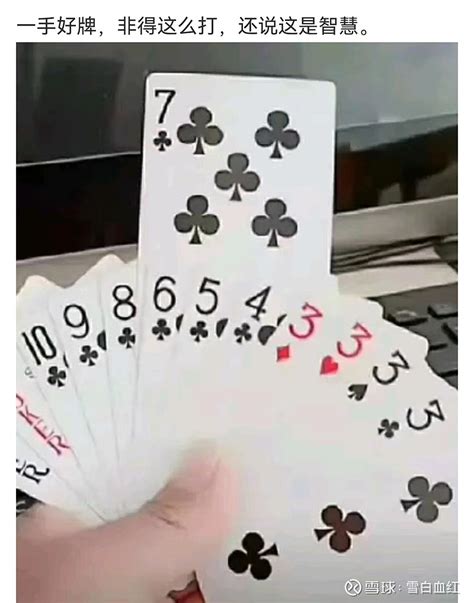 臭手抓好牌瘾大水平低 抓到一把好牌那只是手气打好一把烂牌那才是手艺一把好牌打烂那就是水平 雪球