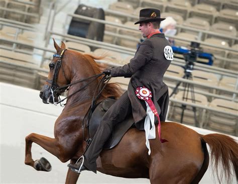 Country Pleasure — Chrishan Park