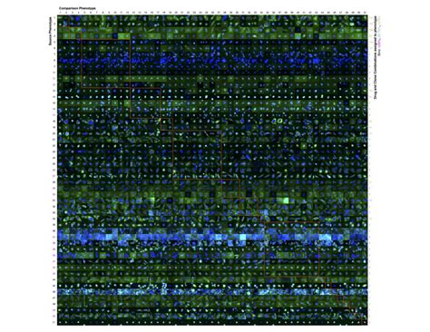 Robotically Driven System Could Reduce Cost Of Discovering Drug And