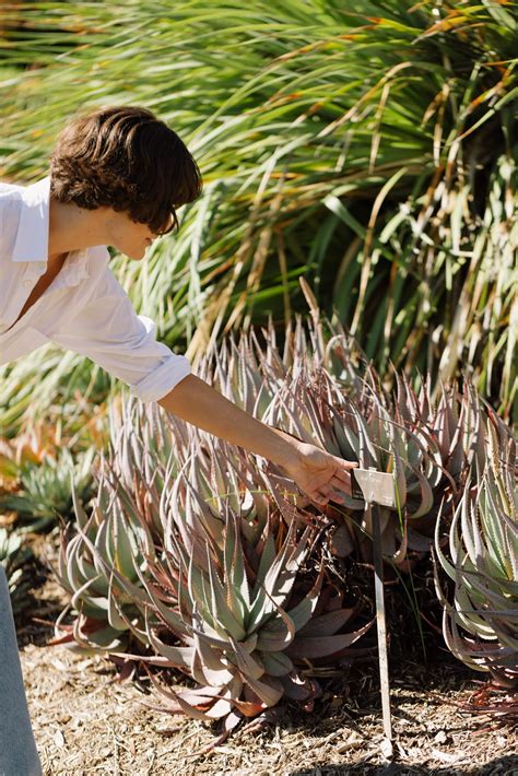 What Is The Binomial System Of Nomenclature LinnÉ What Is The Binomial System Of Nomenclature LinnÉ