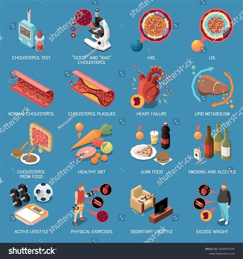 Cholesterol Isometric Icons Set Hdl Ldl Stock Vector Royalty Free Shutterstock