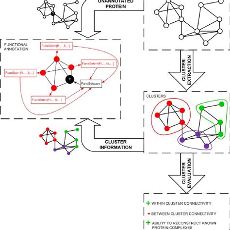 Pdf Protein Function Prediction By Clustering Of Protein Protein