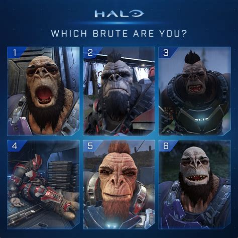 Halo On Twitter It S Brute Day My Dudes Drop It