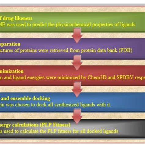 Outline Of Computational Procedure Download Scientific Diagram