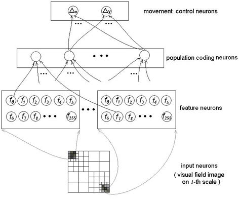 Coding Structure Of Visual Context Representation And Gaze Movement