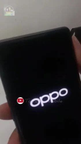 Snooky Half Cut Membrane Anti Blue Clear Tpu At Rs Piece Phone Screen Protector In New