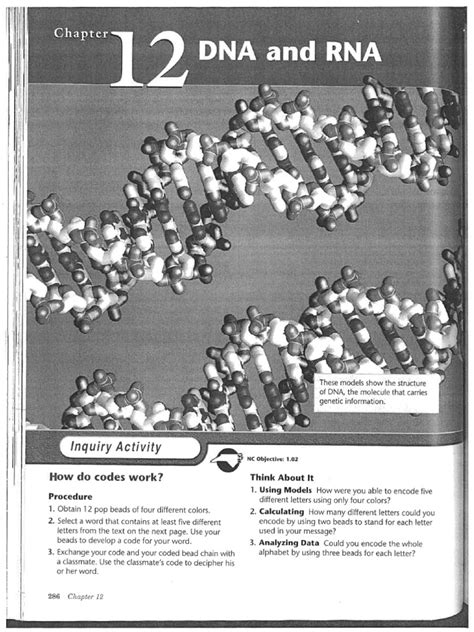 Notes Dna Sec Rev Structure 1014 Pdf