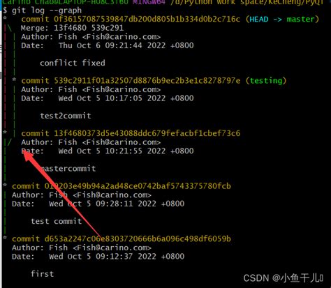 2022新版git教程 从入门到实战(三)git分支管理vs2022 Git Csdn博客 2022新版git教程 从入门到实战(三)git分支管理vs2022 Git Csdn博客